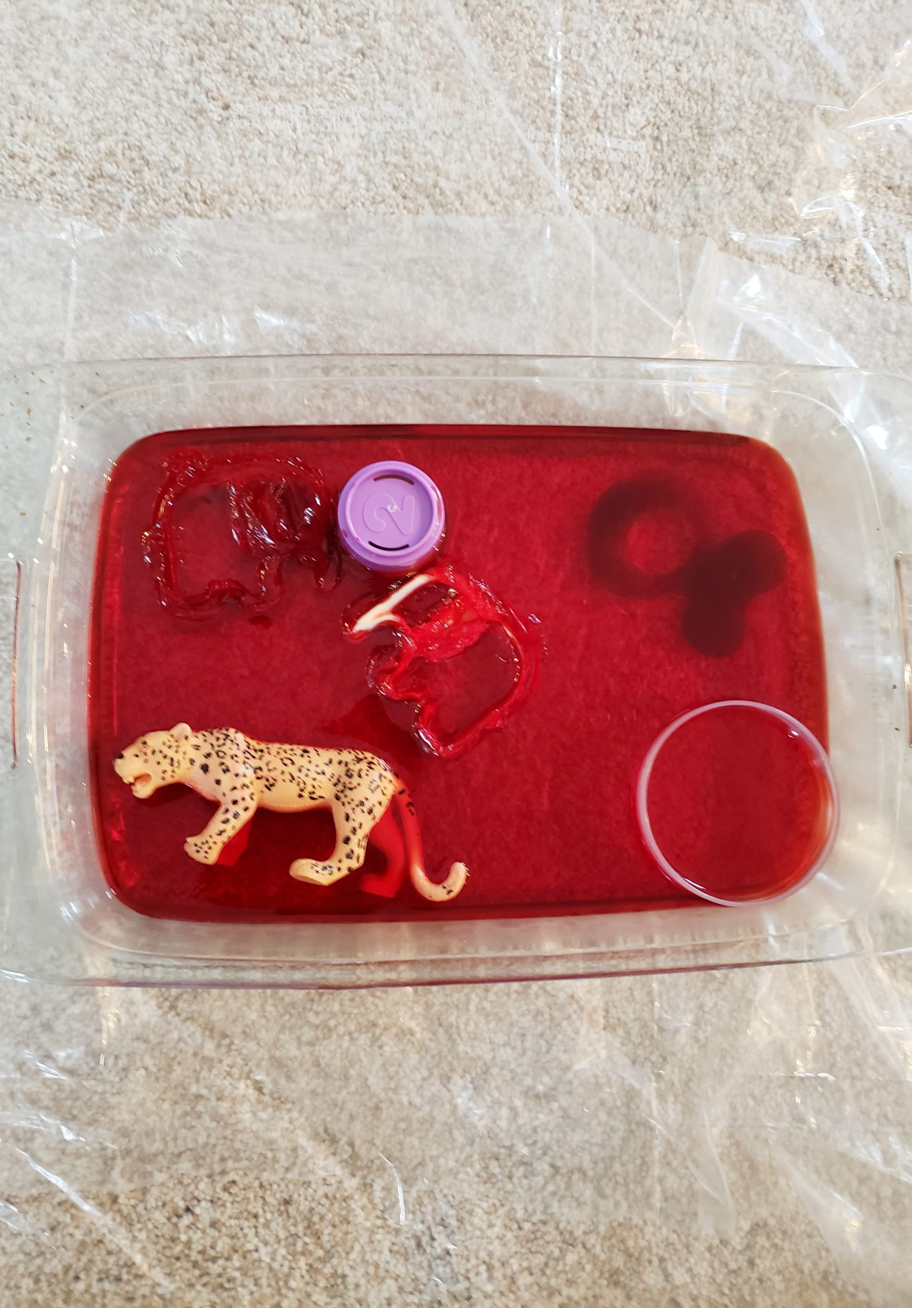 Baby Jell-o Dig - The Whole Crowe