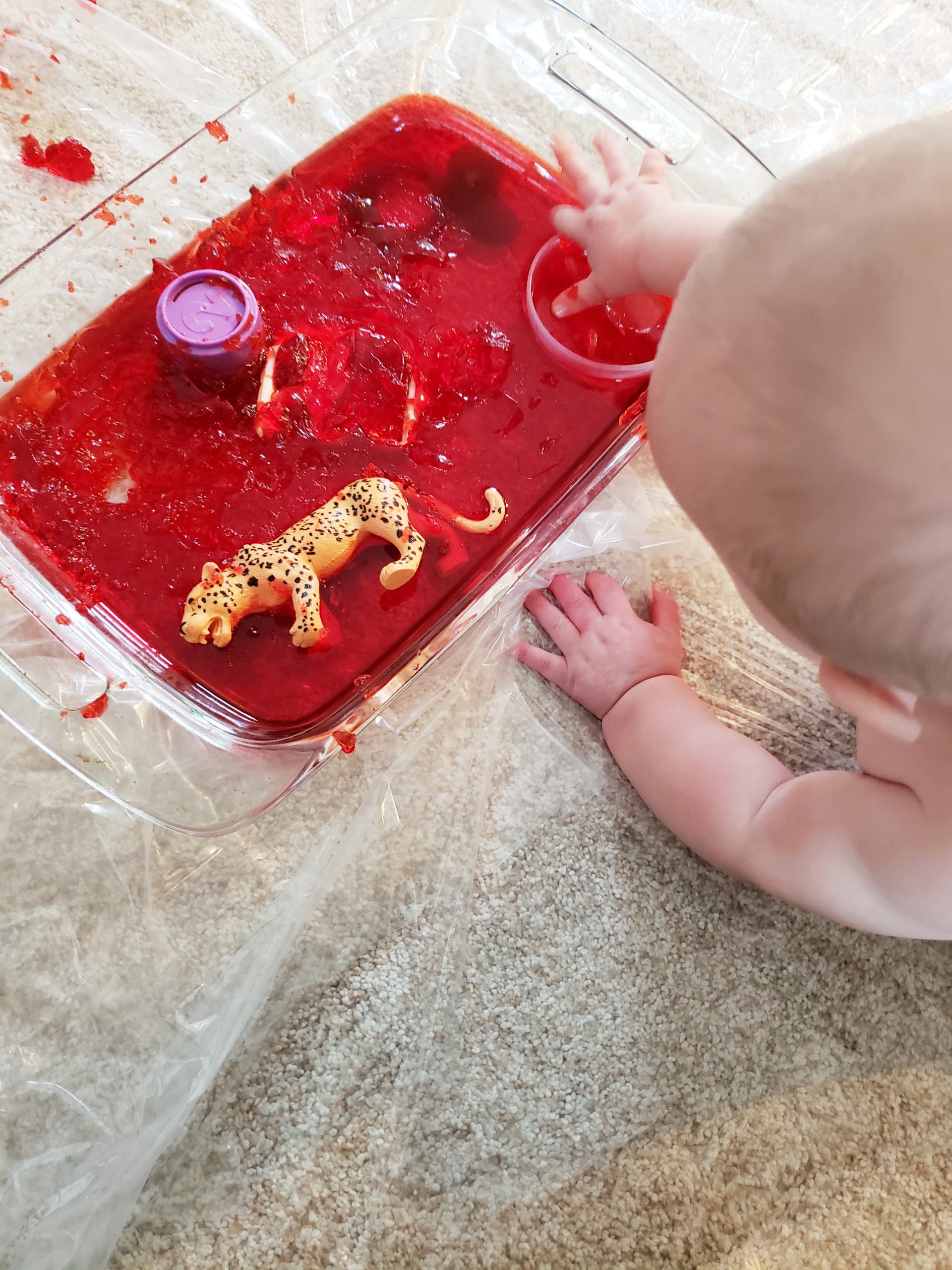 Baby Jell-o Dig - The Whole Crowe